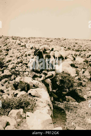 Shepherd boy making sling 1900, Middle East, Israel and/or Palestine ...