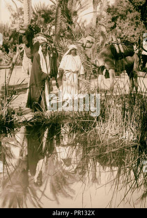 SPRING OF MOSES, EGYPT Stock Photo - Alamy