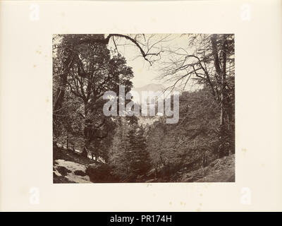 Simla; Pic-nic sic amongst the Trees at Annandale. Samuel Bourne ...