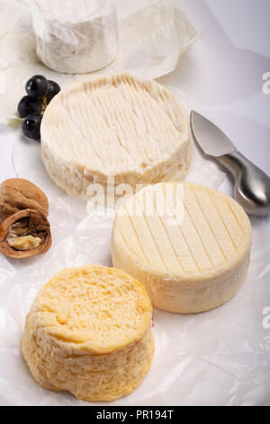 French AOC soft cow cheeses, crumbly Langres with washed rind structure ...