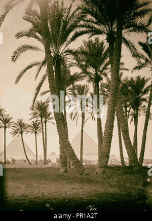 To Sinai via the desert. The three pyramids of Gizeh Stock Photo - Alamy