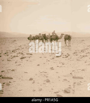 To Sinai via the desert. The wilderness of sin. 1900, Egypt, Sinai ...