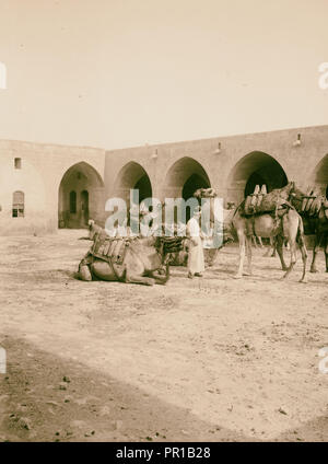 Aleppo (Haleb) and environs. Caravansary 1900, Syria, Aleppo ...
