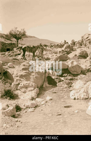 Ain Musa the Spring of Moses Petra Jordan Where moses got water from ...