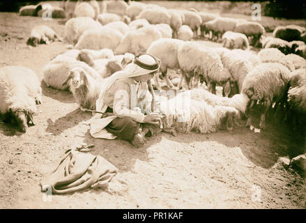 Shepherd piping to his flocks. 1934, Middle East Stock Photo - Alamy