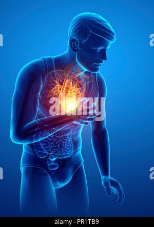 Anatomy of the human chest, computer illustration Stock Photo - Alamy