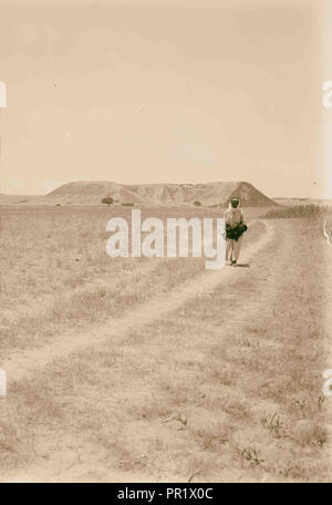 Tell Jimmeh Gerar. 1898, Israel, Tell Jemmeh. Reimagined by Gibon ...