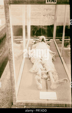 Egypt. 1898, Egypt Stock Photo - Alamy