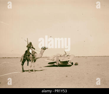 Camel & plane Stock Photo - Alamy
