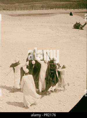 Egyptian characters, etc. Scrambling for backsheesh 1900, Egypt ...