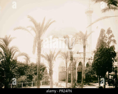 Jezzar Pasha's Mosque, Akka American Colony, Jerusalem. 1898, Palms ...