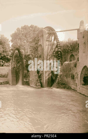 Hama (Hamath). Double water-wheel LOC matpc.07593 Stock Photo - Alamy