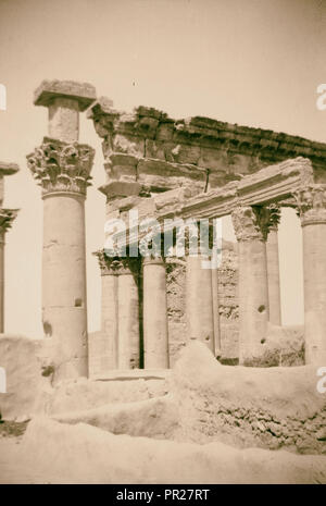 Palmyra (Tadmor). Capitals of pillars in Temple of the Sun 1900, Syria ...