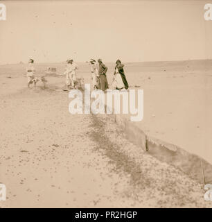 Locust plague, wall to trap. 1925, Middle East Stock Photo - Alamy