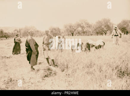 Ruth the Moabitess and others 1925, Middle East Stock Photo - Alamy