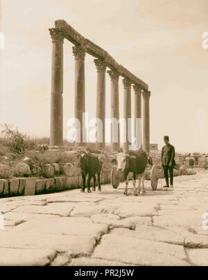 colonnade on the main street of ancient ruined city Hierapolis in ...
