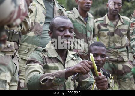 Military members from the Gabonese Armed Forces stand in formation ...