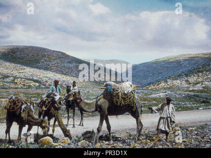 Jaffa to Jerusalem, Valley of Ajalon. Joshua 1012-15. 1950, Israel ...