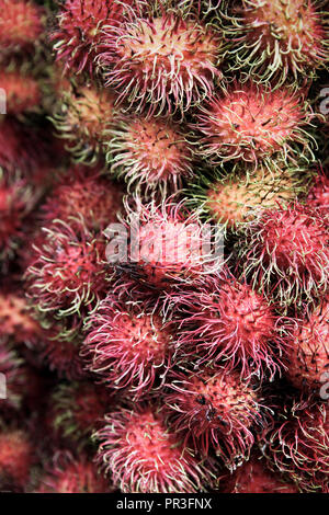 Fresh rambutan fruit closeup detail Stock Photo - Alamy