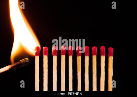A burning match in a row of unlit matches Stock Photo - Alamy