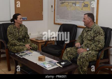 Rear Adm. Brian Brakke, commander of Navy Expeditionary Combat Command ...