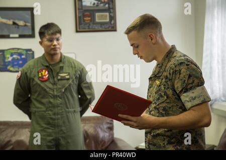 Navy Aircrew Insignia Stock Photo - Alamy