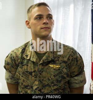 Navy Aircrew Insignia Stock Photo - Alamy