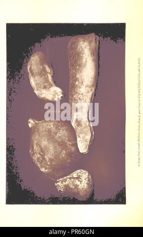 . The chalk and flint formation : its origin, in harmony with a very ...