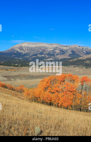 hogback mountain in the snowcrest range near alder, montana Stock Photo ...