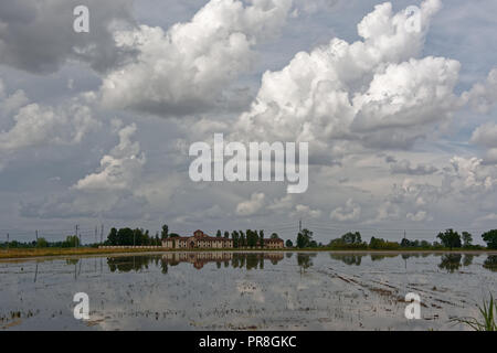 Rice flooded fields with stormy sky and reflections Stock Photo - Alamy