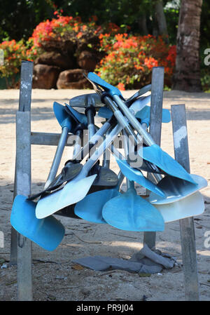 A rack of rowing oars Stock Photo - Alamy