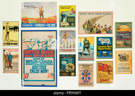 Posters for WW1 displayed at the Vimy Ridge Memorial site Stock Photo ...