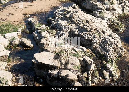 Cannonball rocks or Concretionary Limestone formation at Roker seashore ...
