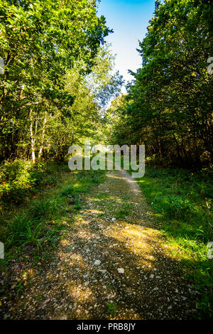 Entrance to Ashes Wood, Netherfield, East Sussex, England Stock Photo ...