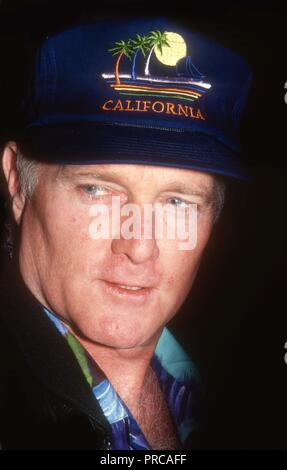 Mike Love 1991 Photo By John Barrett/PHOTOlink Stock Photo - Alamy