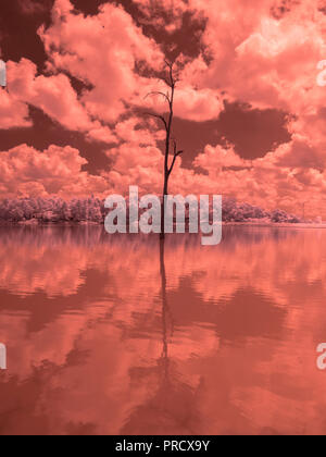 infrared fine art photography landscape : surreal infrared art ...