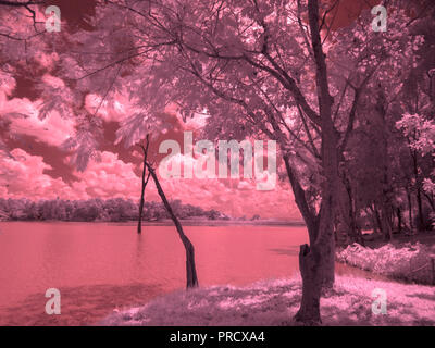 infrared fine art photography landscape : surreal infrared art ...