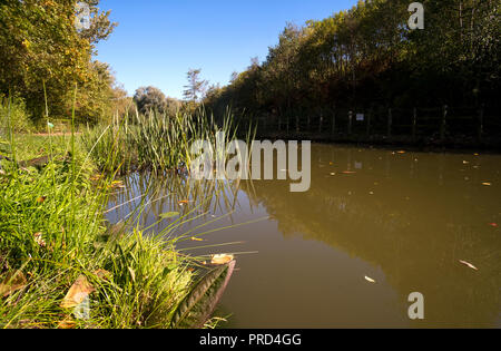 Part of the disused Nottingham canal near Awsworth, UK Stock Photo - Alamy