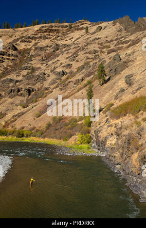 Fly fishing at Powwatka Bridge, Grande Ronde Wild and Scenic River, Wenaha Wildlife Area, Oregon ...