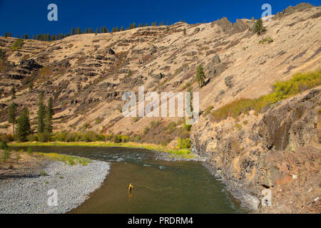 Fly fishing at Powwatka Bridge, Grande Ronde Wild and Scenic River, Wenaha Wildlife Area, Oregon ...