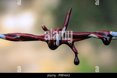 Blood on barbed wire symbol of freedom and civil rights Stock Photo - Alamy