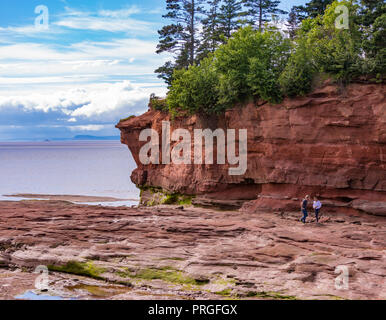 Burntcoat Head, Cobequid Bay, Nova Scotia, Canada Stock Photo - Alamy