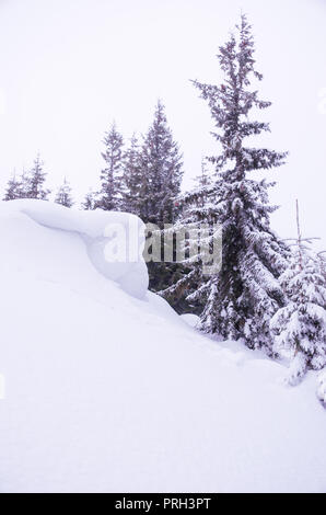 A vertical shot of the road with the mountains covered in clouds in ...