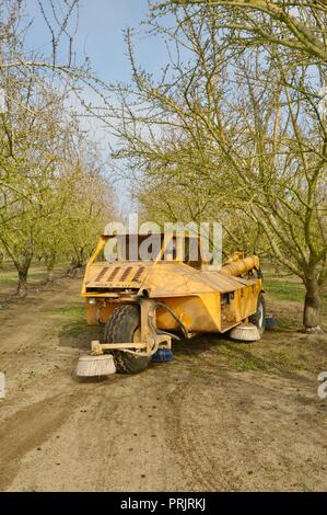 Harvesting almonds for Blue Diamond Cooperative using a large tractor ...
