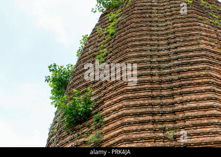 Parasites plaguing the archaeological beauty of Mathurapur Deul, a ...