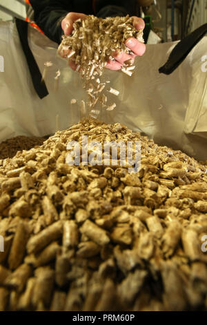 TO GO WITH STORY BY Arthur Beesley. DATE 8 FEB 2018. Brian Murphy ...