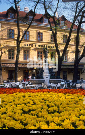 Wien, Wiedner Hauptstraße, Cafe Wortner, Tulpenbeet Stock Photo - Alamy