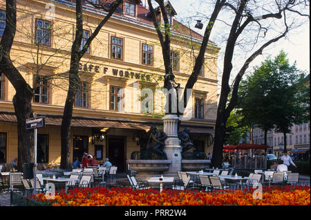 Wien, Wiedner Hauptstraße, Cafe Wortner, Tulpenbeet Stock Photo - Alamy
