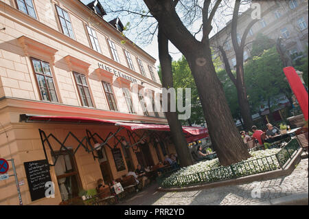 Wien, Wiedner Hauptstraße, Cafe Wortner, Tulpenbeet Stock Photo - Alamy