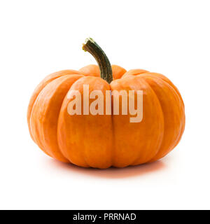 Fresh orange miniature pumpkin isolated Stock Photo - Alamy